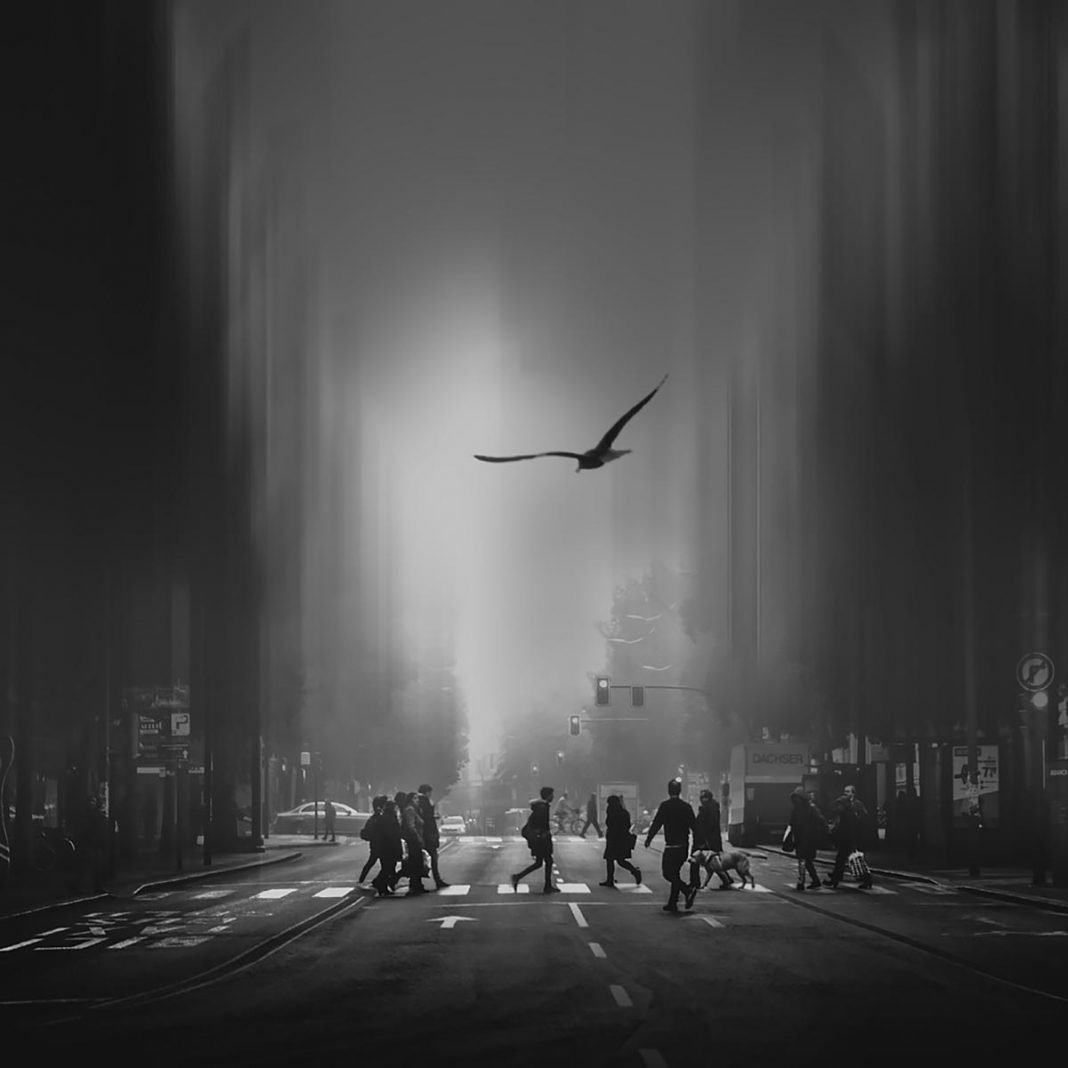 Las mejores fotografías en blanco y negro de 2020 en los Monochrome ...