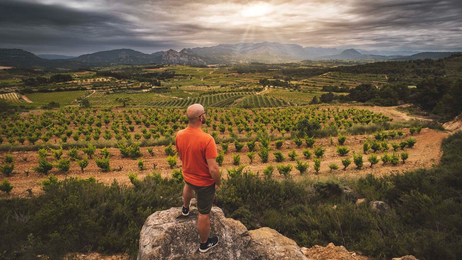 Descubriendo Terra Alta: fotos, vinos, bici y algún chapuzón ...