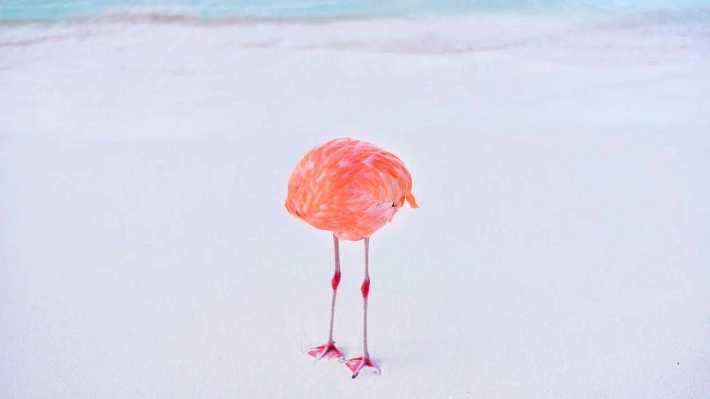 Una fotografía real gana un concurso en la categoría de imágenes IA ...